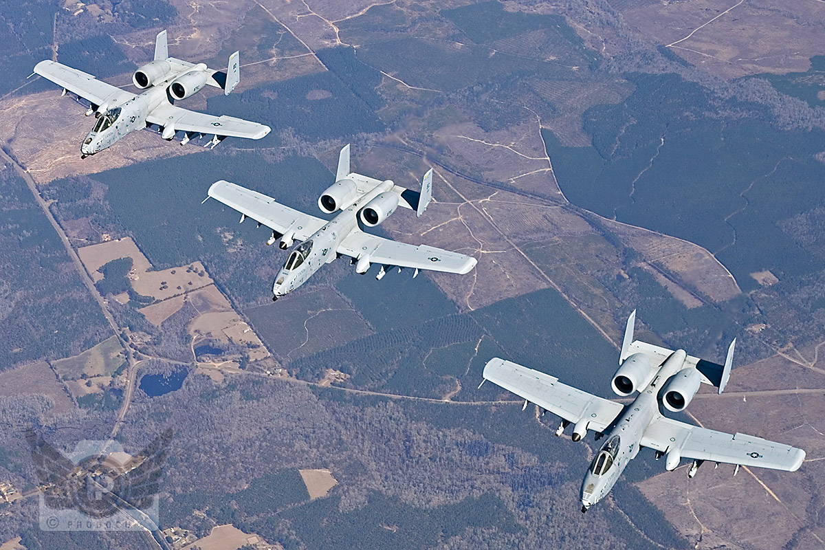 AMOOZIN’ DOGPATCHERS REVIVE - Phodocu Publishing